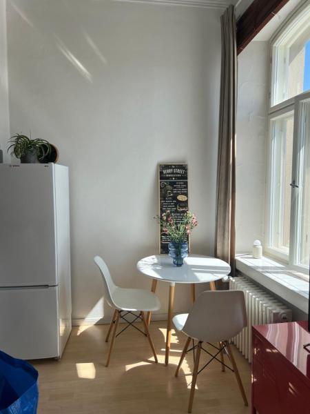 Elegant Studio Apartment In Down Town Helsinki - Helsinki