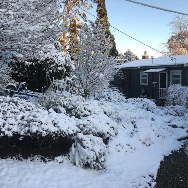 Maisie's Cottage - Clarence