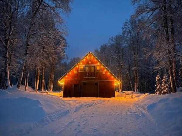 Alaskan Wild Rose Retreat - Alaska