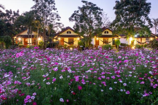 The Nest House - Mae Hong Son