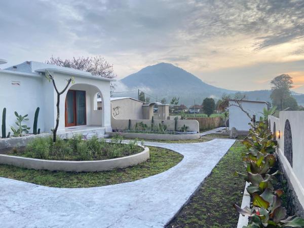 Alaya At Volcano - Kintamani