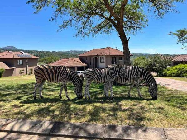 Wild Antelope On Your Doorstep! - Mbombela