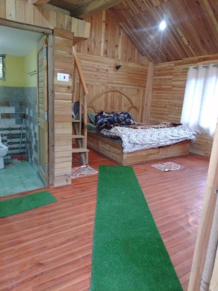 Pg Dream Cabin Jibhi - Jibhi