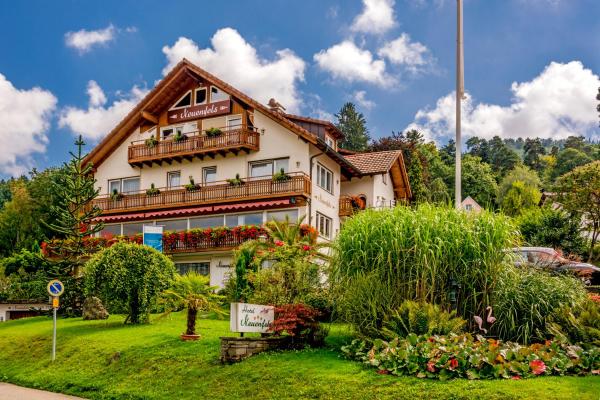 Hotel Neuenfels - Müllheim