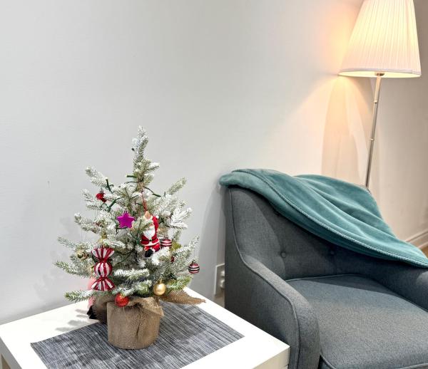 Cozy, Brand-new, 2bdr,walkout Apt, Free Parking - Markham, Canada