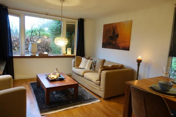 Vechtdalchalet De Eik - Slagharen