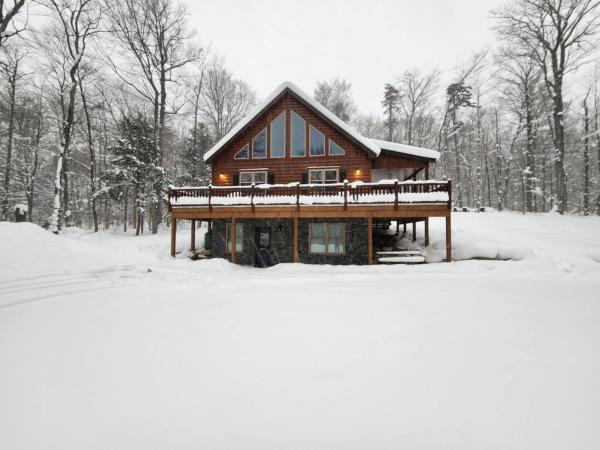 Blissful Bear - Old Forge, NY