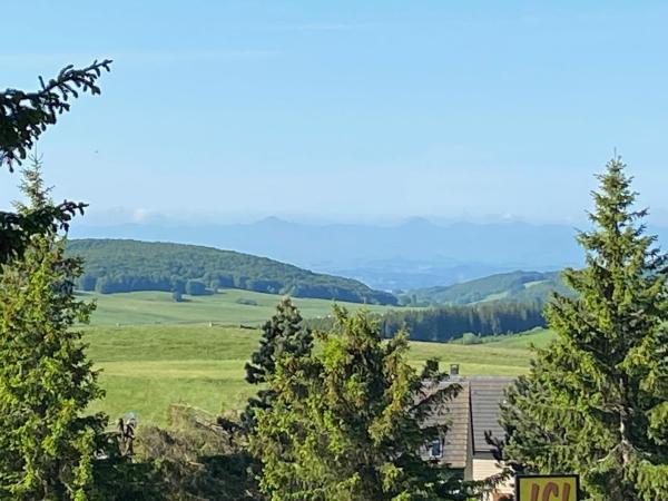 Appartement Avec Terrasse Et Piscine Proche Nature à Super-besse - Fr-1-814-52 - Saint-Nectaire