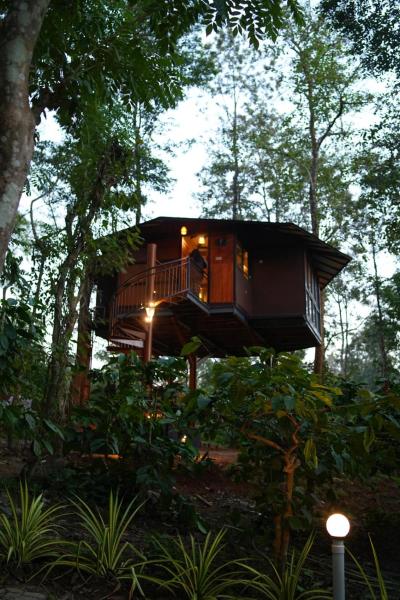 Pugmarks Jungle Lodge - Kerala