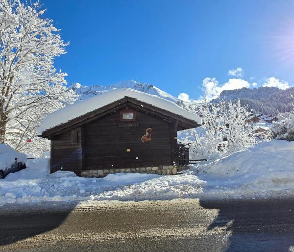 Le Petit Chalet Du Chinaillon - Haute-Savoie