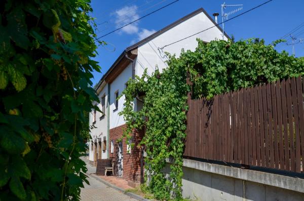 Apartmán Hejč - Chequia