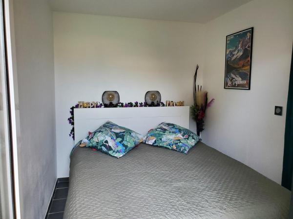 Appt Cosy Entier Avec Piscine - Portet-sur-Garonne