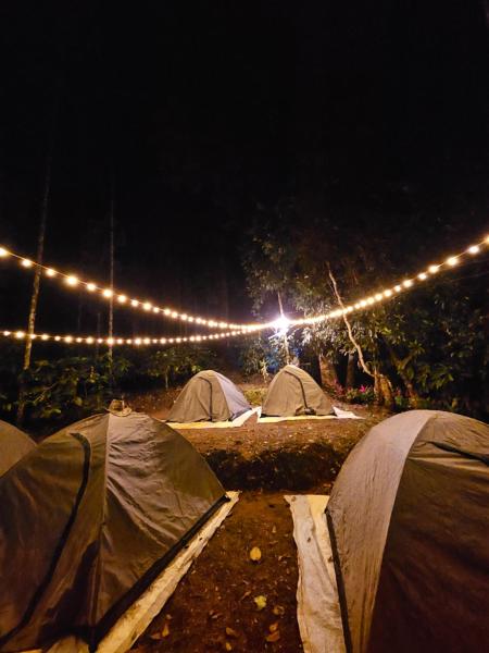Tropical Camping - Kerala