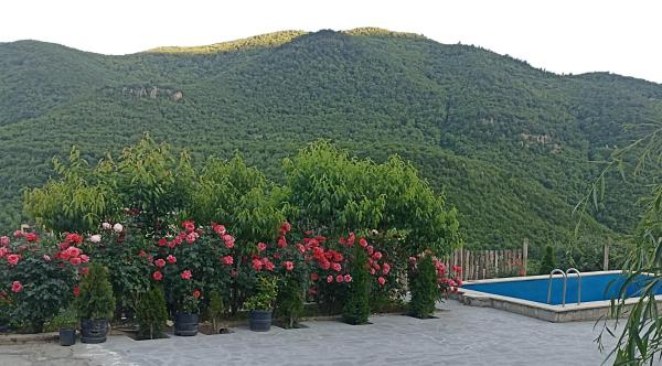 Green Garden Կանաչ այգի - Armenia