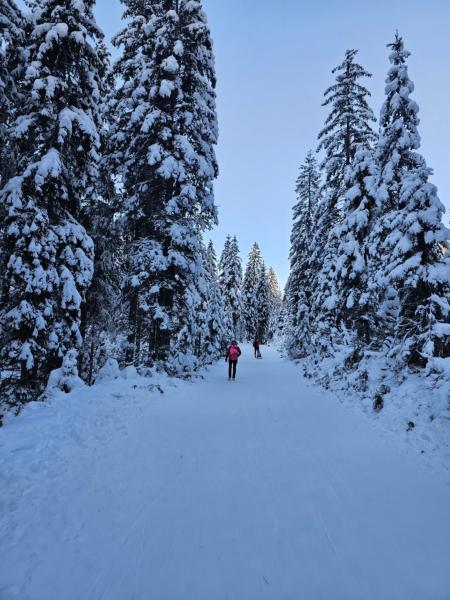 Panoramablick Exklusiv - Villach