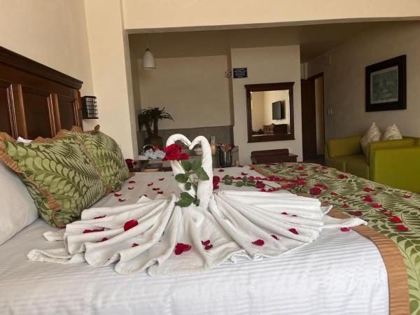 Hotel San Carlos Tequisquiapan - San Juan del Río