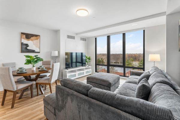Furnished Luxury Apartment Next To Harvard Stadium - Cambridge, MA