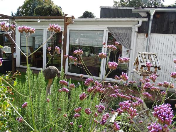 B&b Piccardie - Coevorden