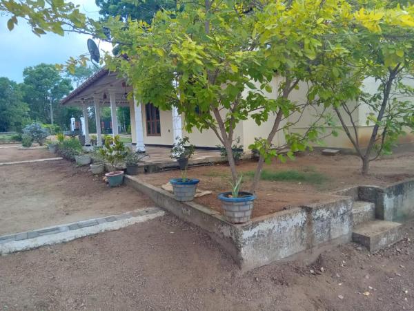 Garden Villa Sooiyawewa - Sri Lanka