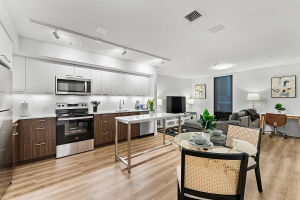 Furnished Luxury Apartment Next To Harvard Stadium - Waltham, MA