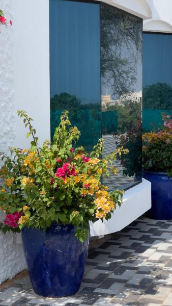 Moon Night Resort For Family And Groups - United Arab Emirates