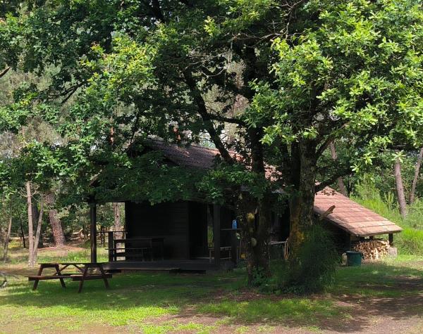 Chalet De L 'éTang - Centre