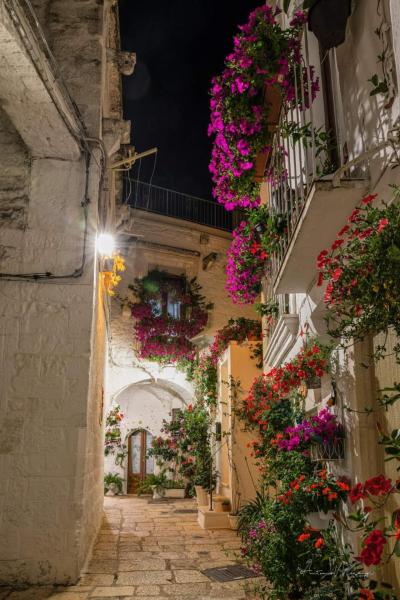 Eusebio's House - Cisternino