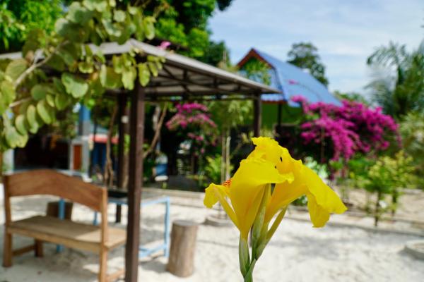 Garden Bungalows Koh Rong - Cambodia