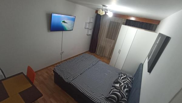 Nicole Magic Apartment- Timișoara - ティミショアラ