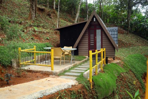 Garden Of Eden-thottam Munnar-hiking And Camping - Munnar