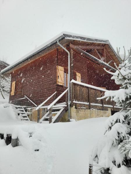 Chalet Les Randonneurs Spacieux 8 Couchages - Saint-Laurent-en-Grandvaux