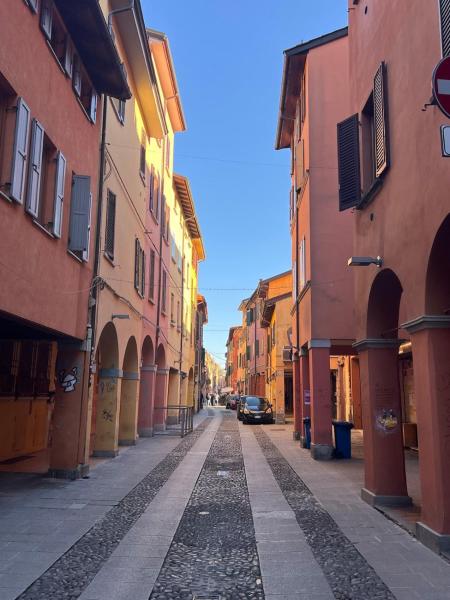 Poesia Nel Centro Di Bologna - Bologne