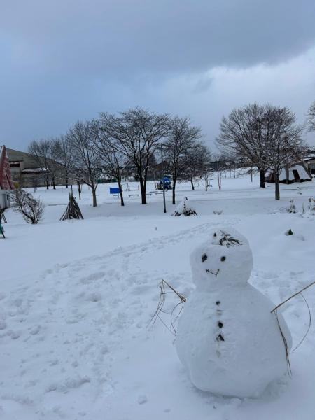 Kame - Niseko