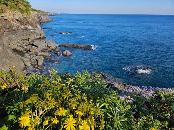 Seogwipo Tre Pension - Ciudad de Jeju