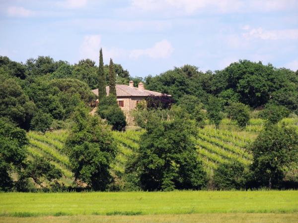 Podere Marella - Castiglione del Lago