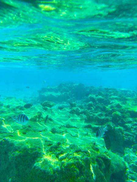 Tiba Golden Resort - Hurghada