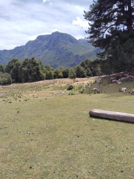 Camping Arroyo Quila Seca - Les Lacs