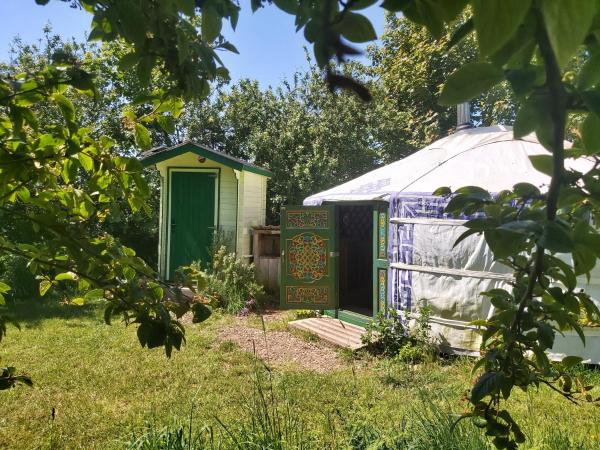 Ffynnonwen Eco Glamping - New Quay
