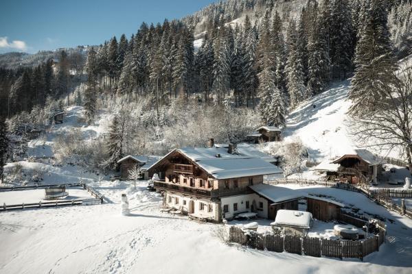 Chalet Kleinbretteneben - Grossarl