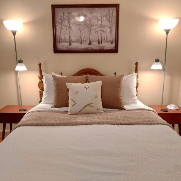 Lily Pad North At Loon Lake Near Gore Mountain - Adirondack, NY