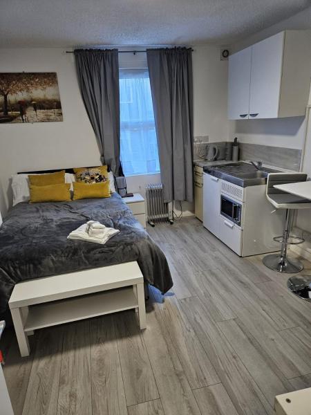 Small And Compact Studio Flat Great Connection 791 - Hounslow