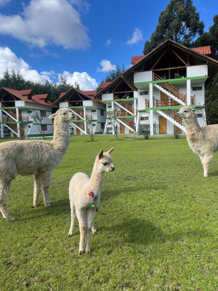 Resort Alapa - Concepción, Perú