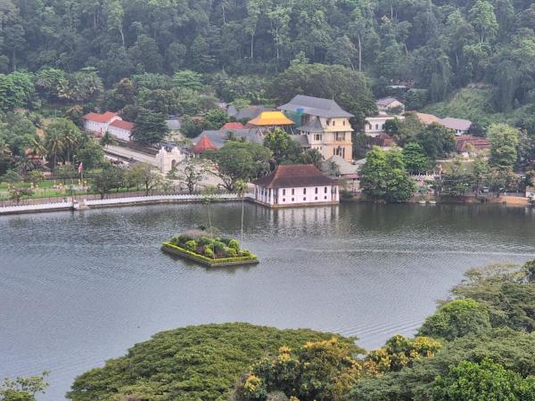 Lazy Bear Best Hostel In Kandy - Kandy
