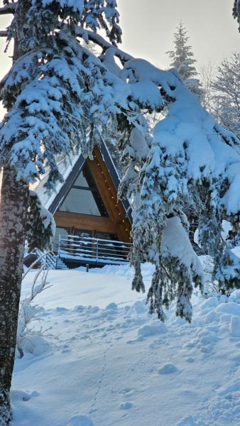 Gorska Bajka - Borovica, Planinska Kuća Za Odmor I Wellness - Kroatien
