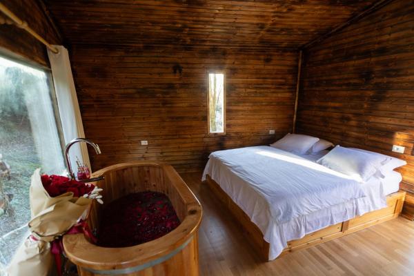 Kazerma E Cerenit - 티라나