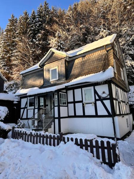 Waldtraum Lodge Winterberg Für 10 Personen Mit Garten Und Grill - Olsberg