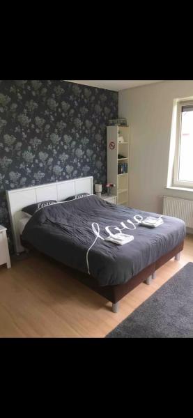 De Groene Oase - Groningen