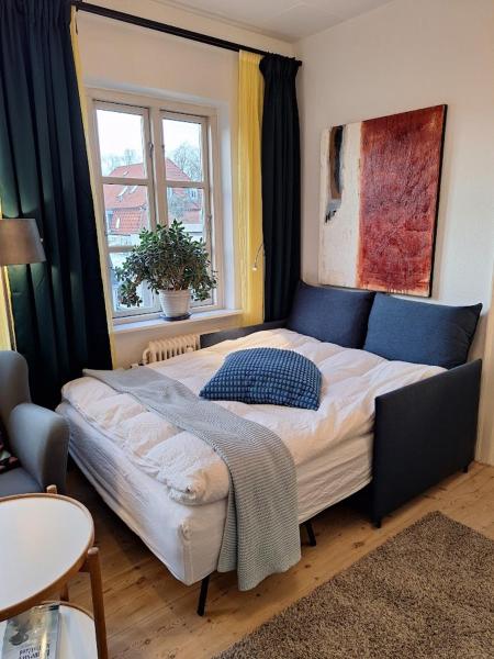 Hyggeligt Værelse I Downtown Roskilde - Roskilde