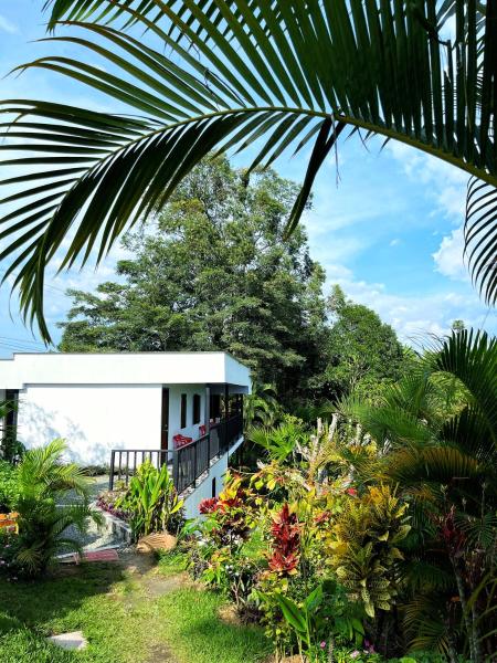 Finca El Bazar - Montenegro