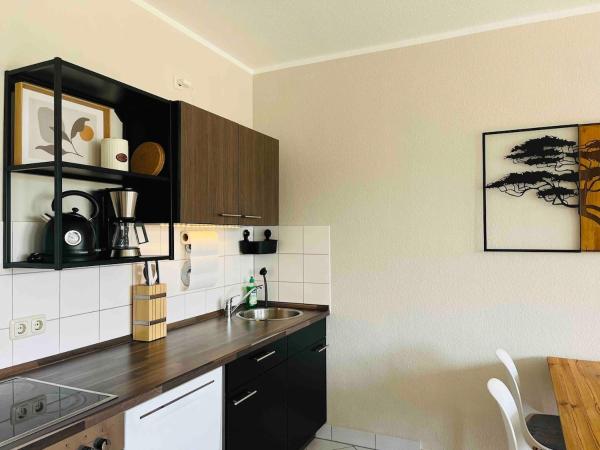 Modernes Apartment In Der Nähe Zur Uniklinik Dresden - Dresden